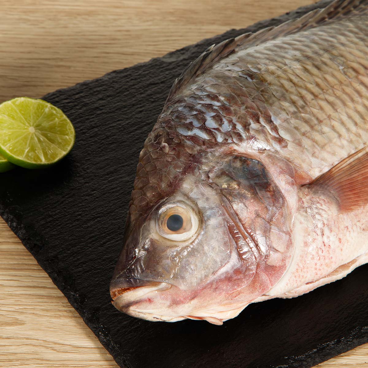 Mojarra Tilapia Fresca por Kg | Chedraui